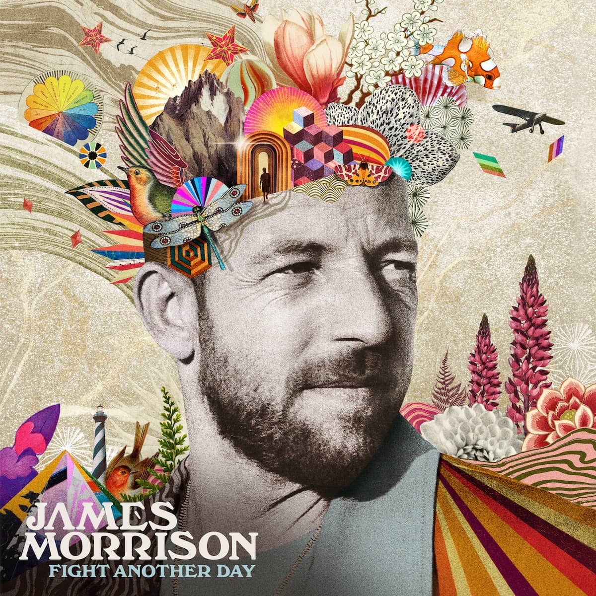 James Morrison: recensione di Fight Another Day